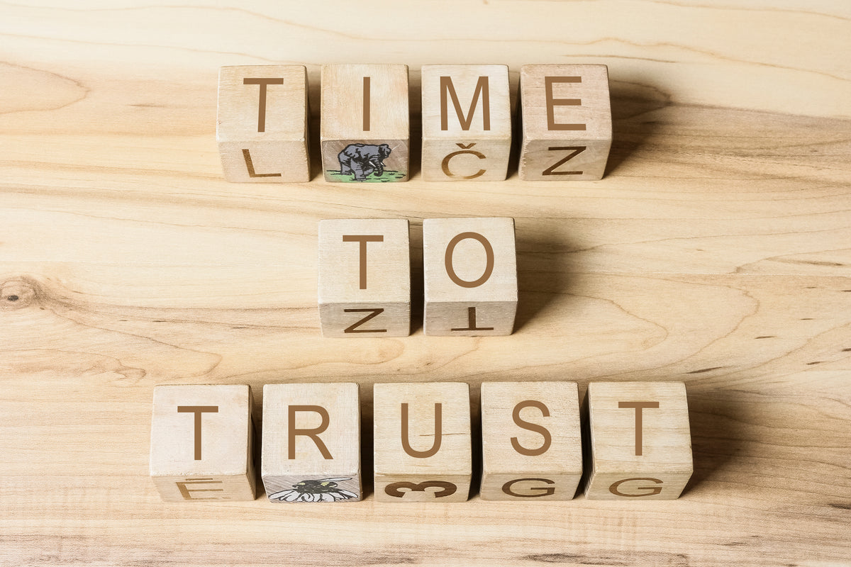 Trust the Timing – Lindsay Manfredi